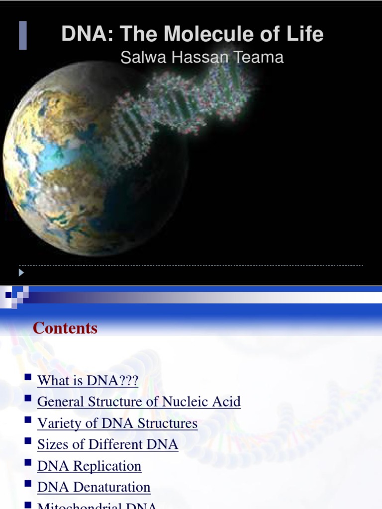 DNA The Molecule of Life | PDF | Dna | Chromosome