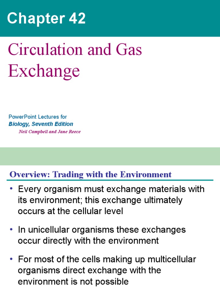 CHPT 42 Circulation Gas Exchange 2014 | PDF | Circulatory System | Heart