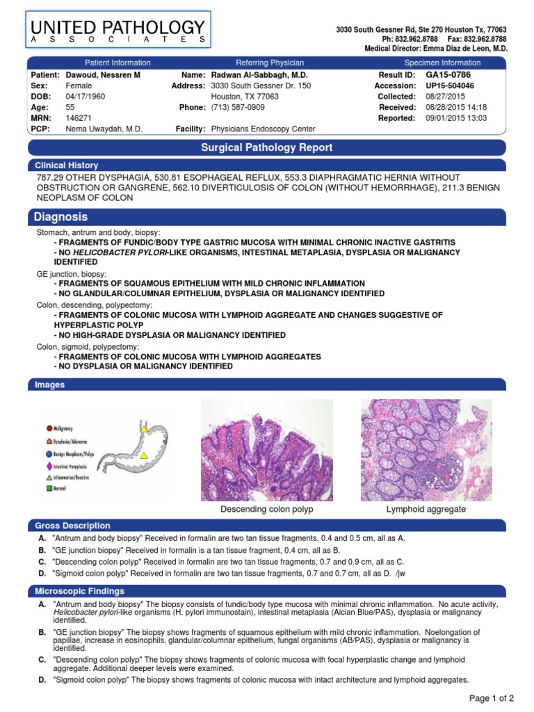 Diagnosis: Surgical Pathology Report | PDF | Biopsy | Stomach