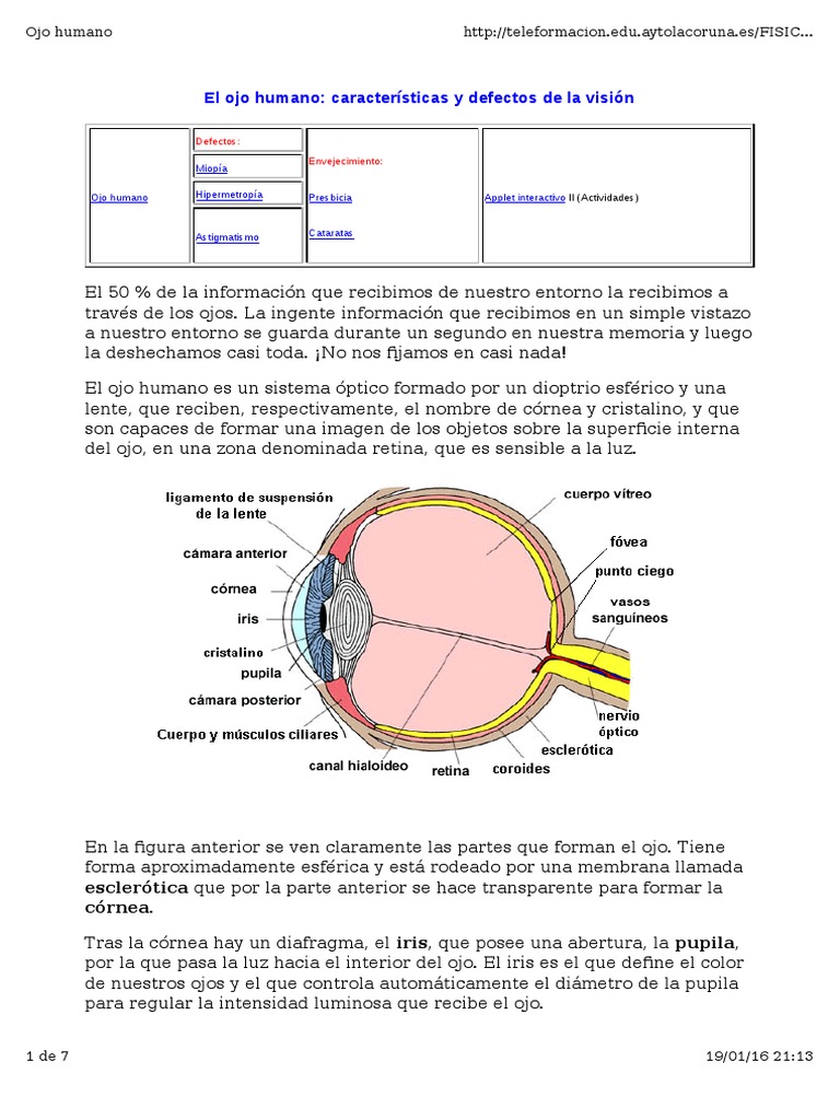 ojo humano.pdf | Ojo humano | Percepción visual