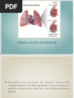 Protocolo ROSE | PDF | Reanimación cardiopulmonar | Medicina