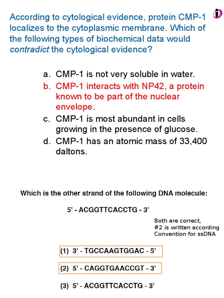 Clicker Questions | PDF | Directionality (Molecular Biology) | Dna ...