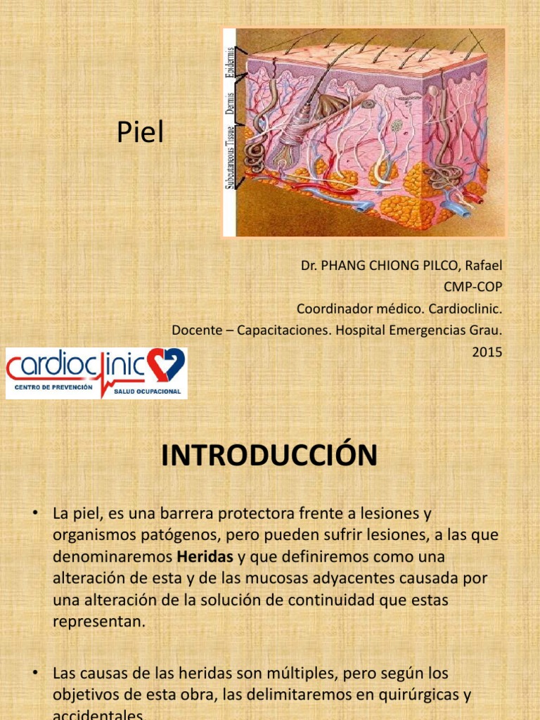 La Piel. Generalidades y Procesos de Reparacion | PDF | Cicatrización ...