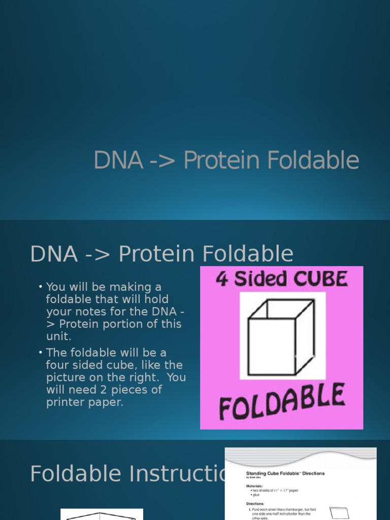 DNA to Protein Foldable Guide | PDF | Foreign Language Studies | Wellness