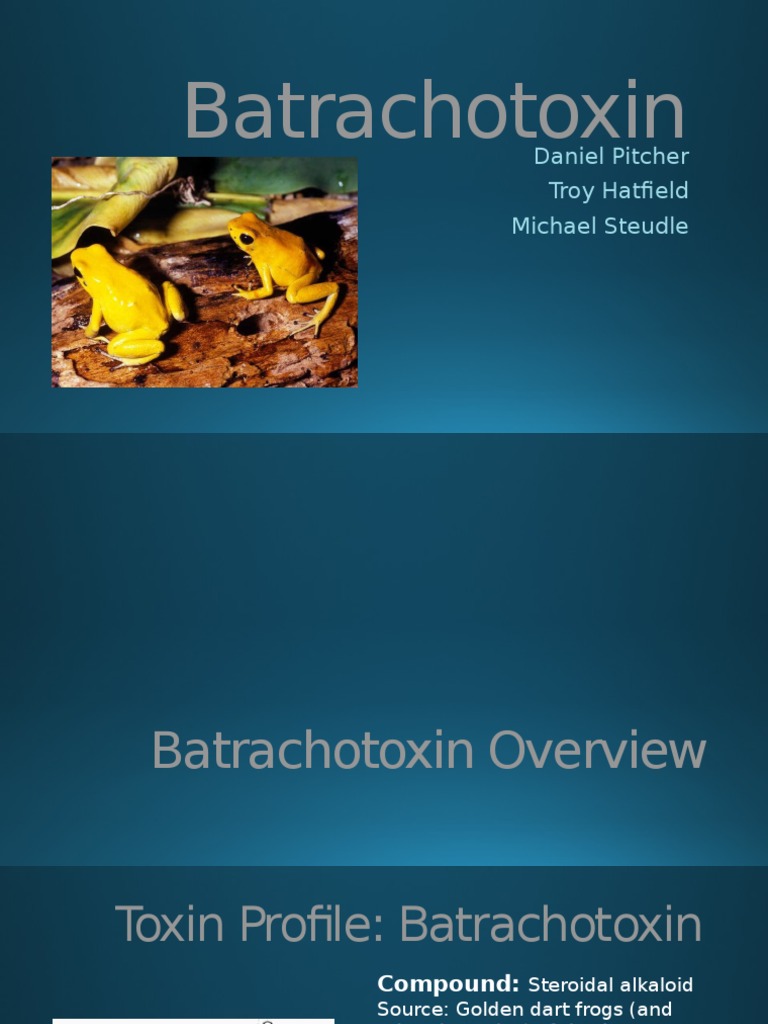 Batrachotoxin Presentation | Action Potential | Neurobiology
