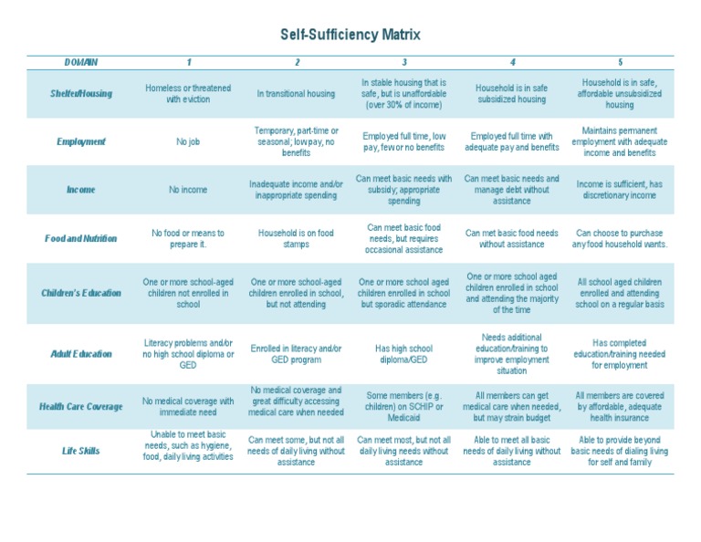 Self-Sufficiency Matrix | PDF