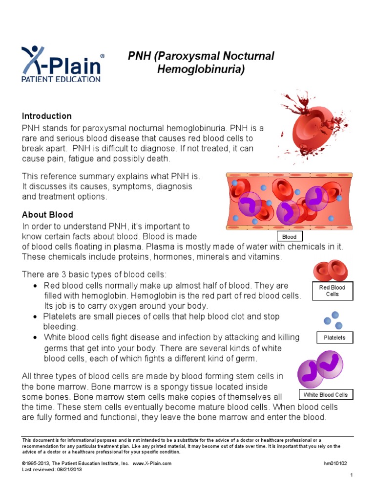 Jurnal PNH | PDF | Bone Marrow | Tissue (Biology)