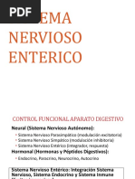 Mapa Conceptual de Mesodermo Paraxial e Intermedio - Embrio General | PDF | Zoología | Anatomía