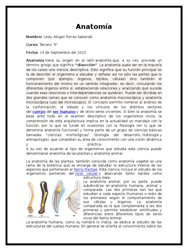 Anatomía, Clasificacion y Cortes Anatómicos | PDF | Anatomía | Biología