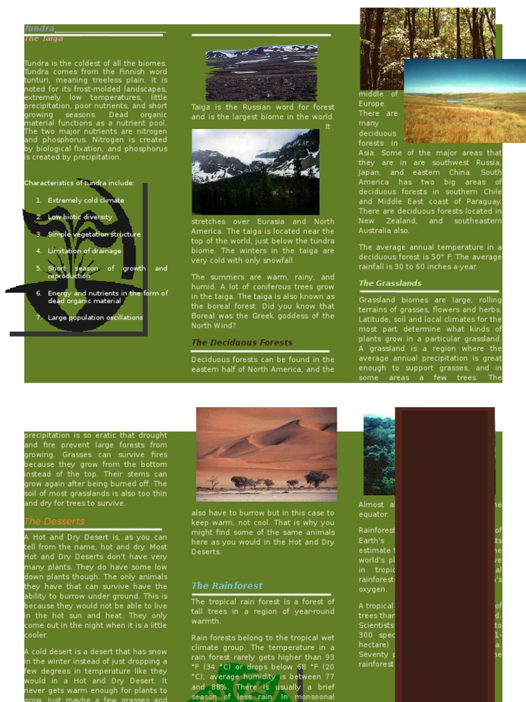 Land Biome Brochure.docx | Rainforest | Rain | Free 30-day Trial | Scribd