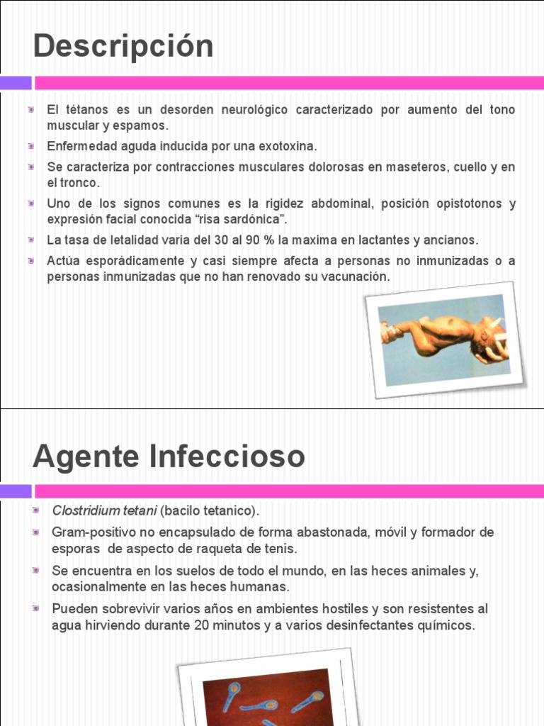 Tetanos Neonatal | Especialidades Medicas | Medicina CLINICA