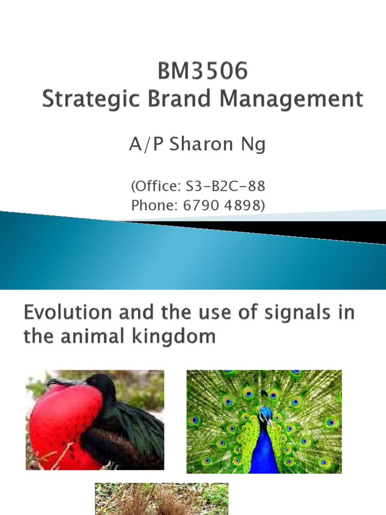 Introduction To Branding 2014 PDF | PDF | Brand | Strategic Management