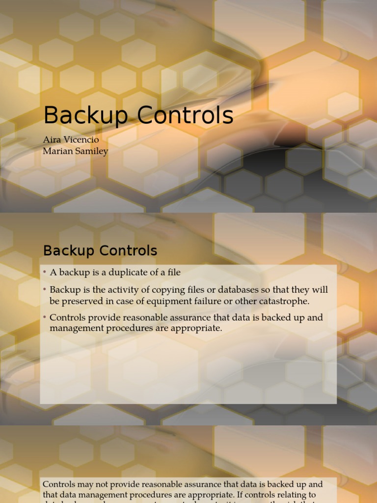 Backup Controls | PDF | Backup | Computer File