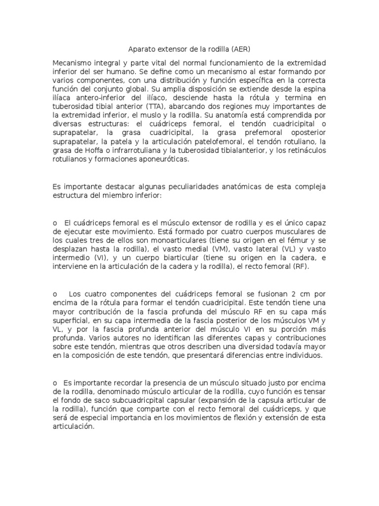 Aparato Extensor de La Rodilla | PDF | Rodilla | Sistema musculoesquelético
