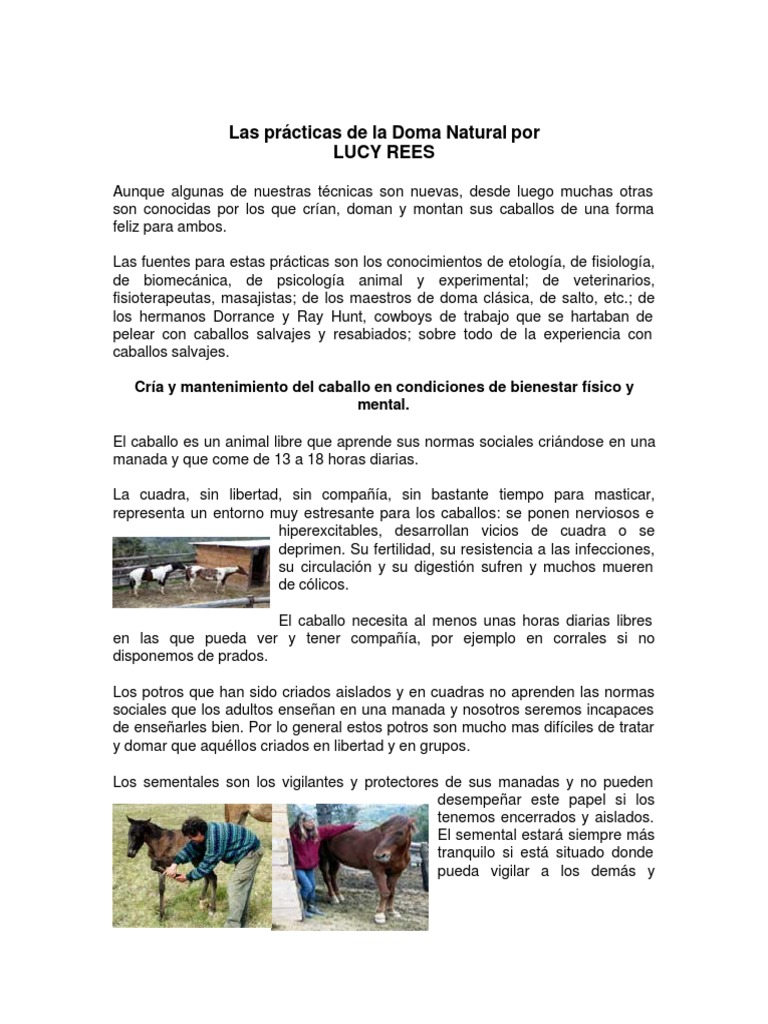 Lucy Rees 2 | PDF | Caballos | Entrenamiento de caballos