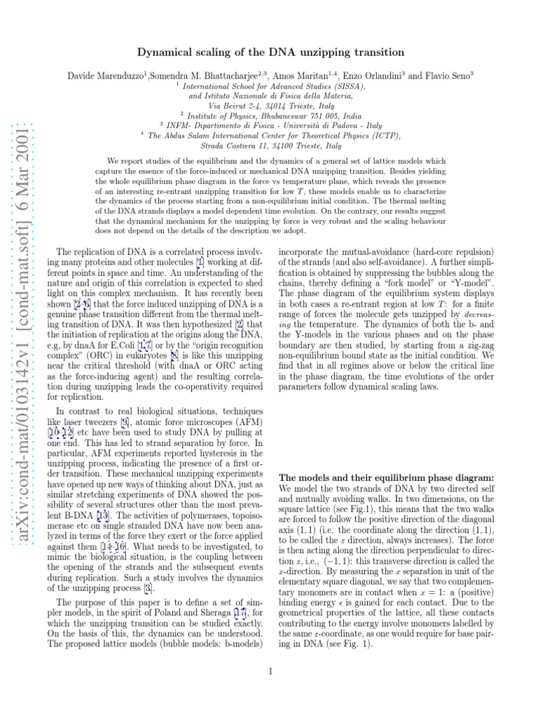 Dynamical Scaling of The DNA | PDF | Dna Replication | Phase Transition