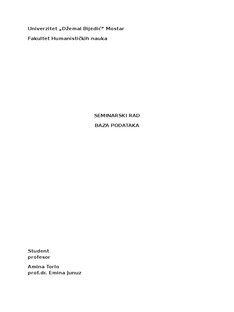 Seminarski Rad (Informatika) | PDF