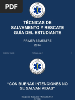 Protocolo XABCDE | PDF