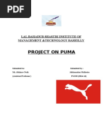 PUMA Brand Guidelines Overview 2024 | PDF | Brand | Adidas