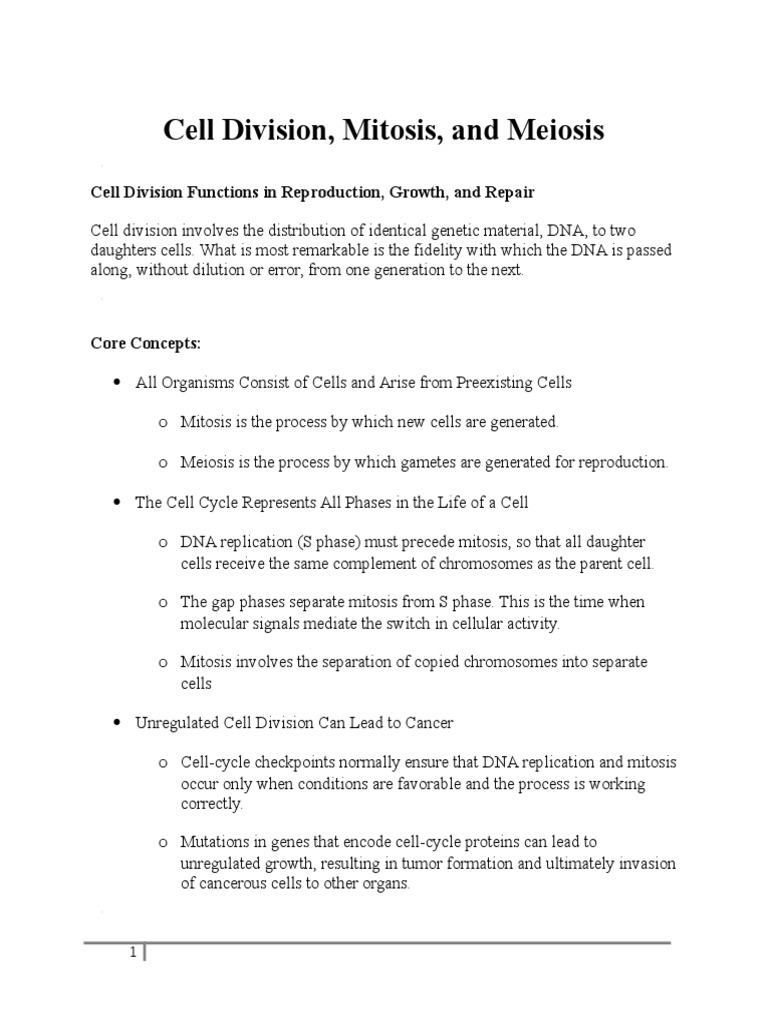 Cell Division | PDF | Meiosis | Mitosis