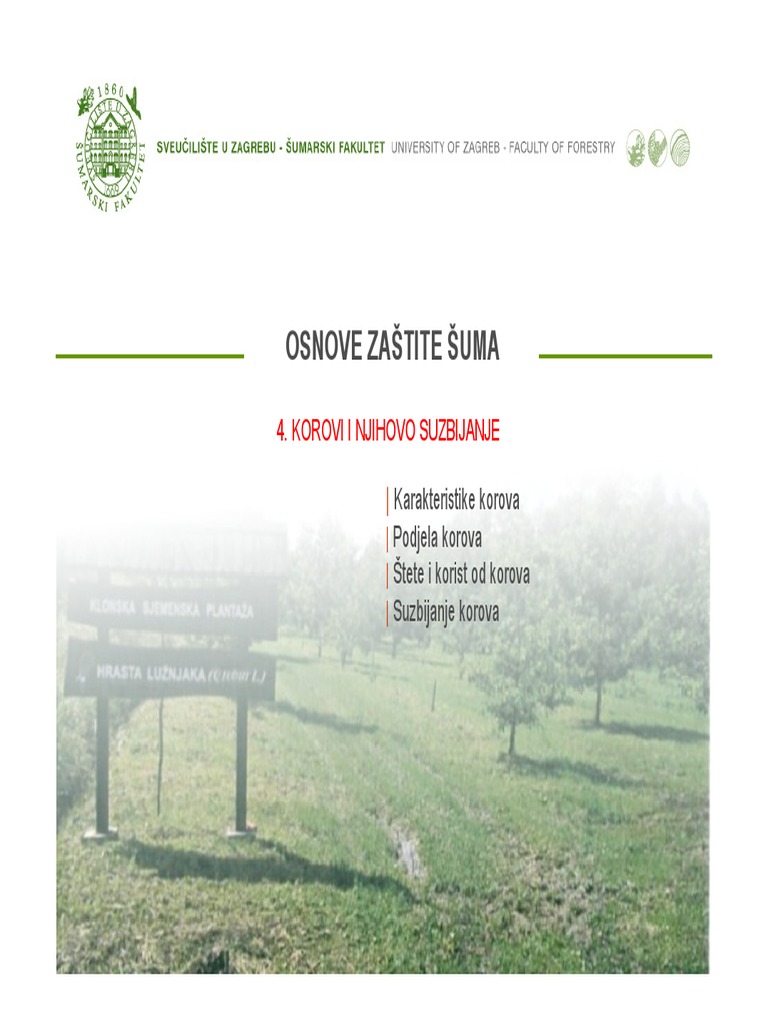 Korovi I Njihovo Suzbijanje | PDF