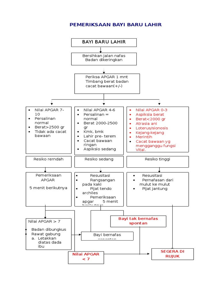 Bagan Pemeriksaan Bayi Baru Lahir | PDF