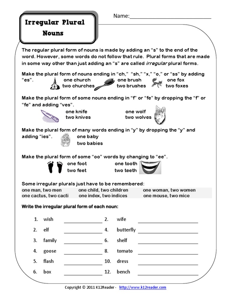 Irregular Plural Nouns | PDF