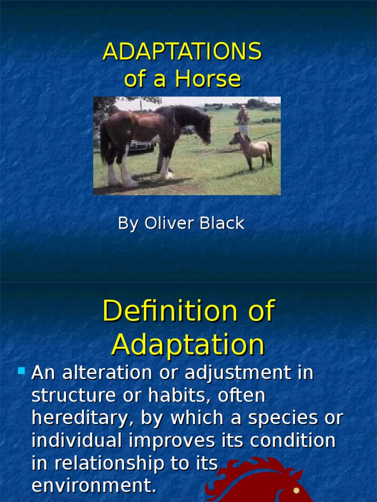 Horse Adaptations | PDF | Home & Garden | Wellness
