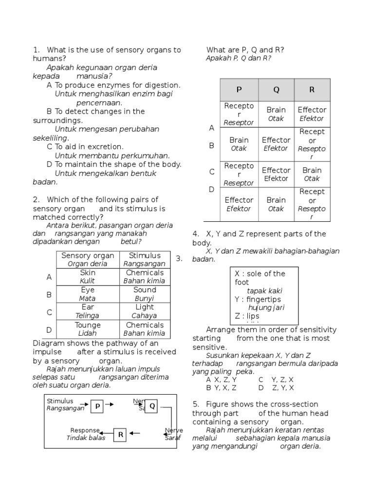 Sains Form 2 Pdf Lens Optics Senses