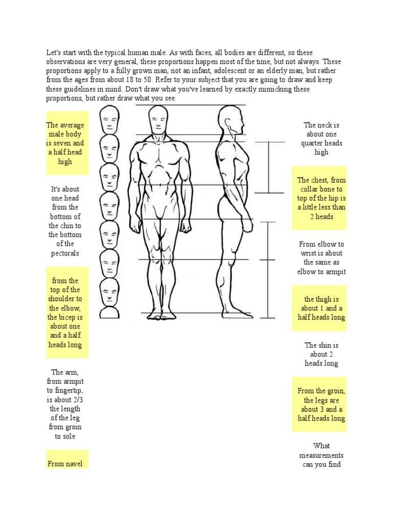 Human Figures | PDF | Elbow | Perspective (Graphical)