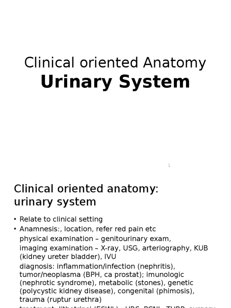 Clinical Oriented Anatomy of Urinary System | PDF | Urination | Kidney