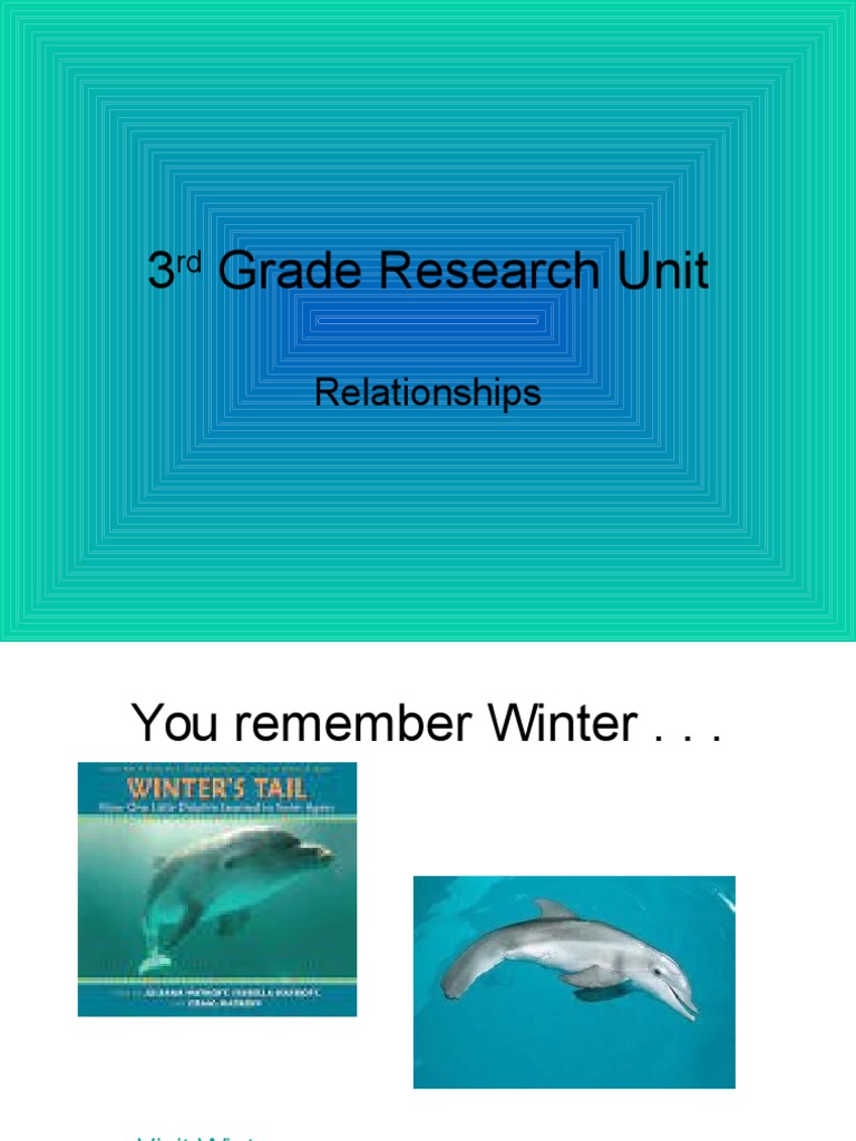 Grade 3 Powerpoint | PDF
