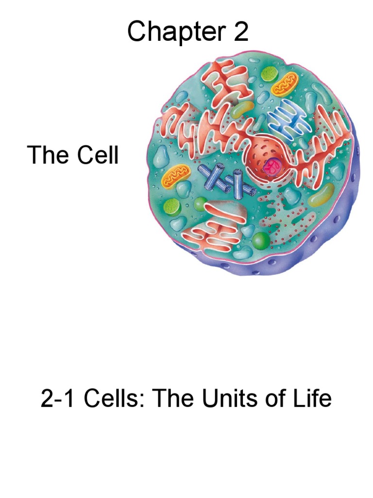 Sains Form 1 Chapter 2 | PDF | Cell (Biology) | Cytoplasm