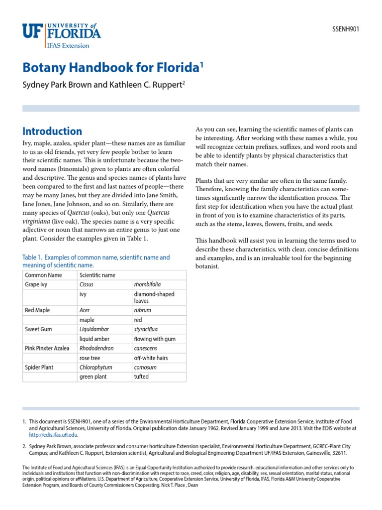 Florida Botany Handbook Overview | PDF | Petal | Fruit