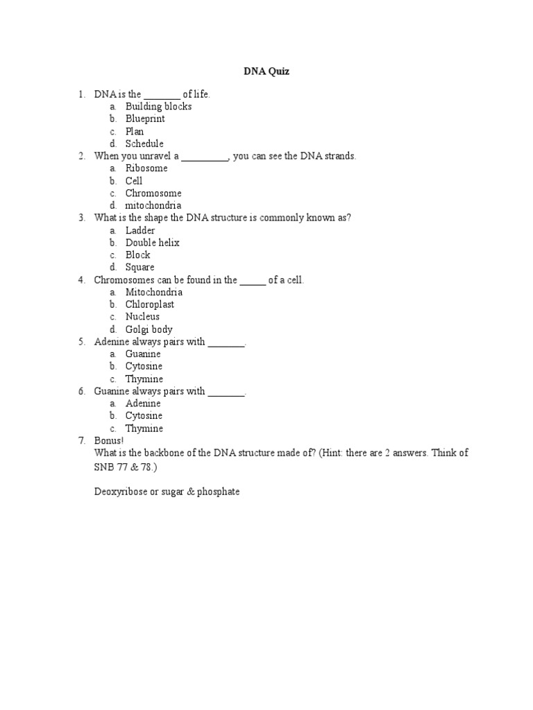 DNA Quiz: Structure and Basics | PDF | Dna | Life Sciences