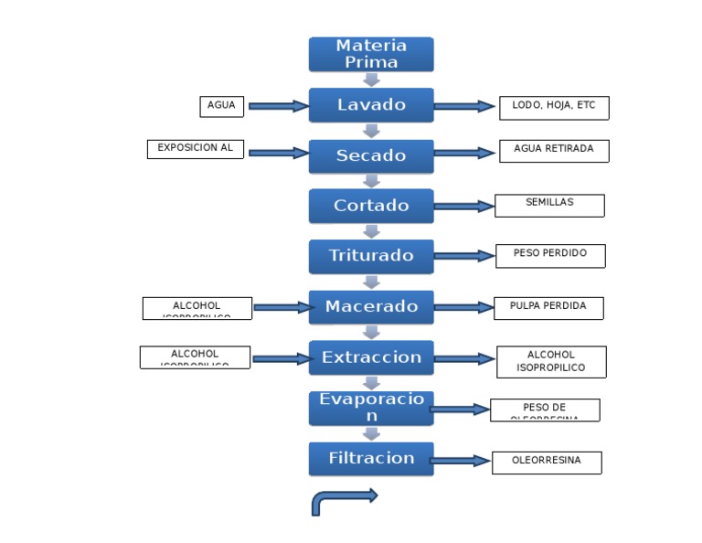 Diagrama de Flujo de La Paprika | PDF