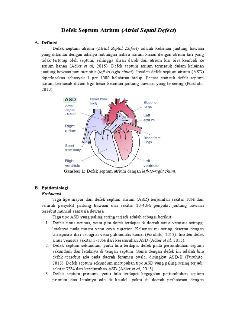 Defek Septum Atrium | PDF | Perjalanan | Sains & Matematika