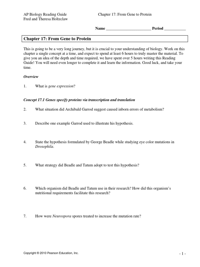 Chapter 17 Answers | PDF | Translation (Biology) | Genetic Code