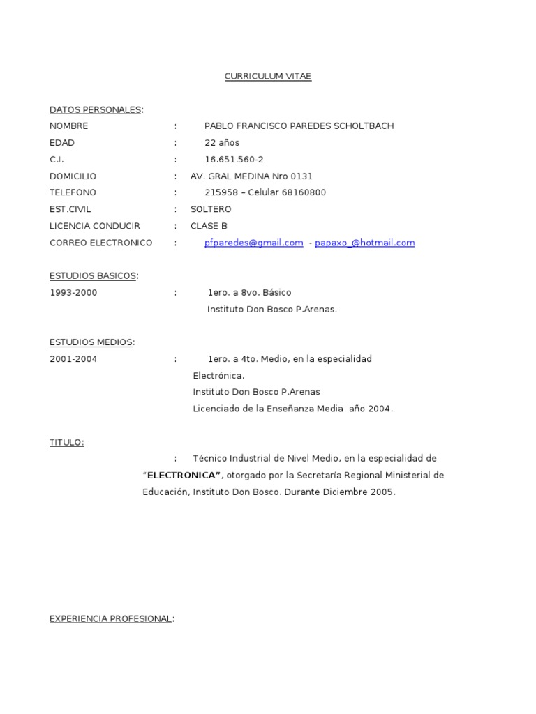Curriculum Vitae Pablo Paredes | PDF | Equipo de oficina | Informática ...