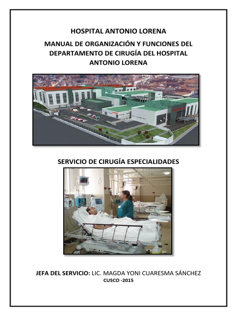 Manual de Organización y Funciones Del Departamento de Cirugía Del Hospital Antonio Lorena | PDF ...
