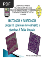 05 Tejidos Epiteliales III Especializaciones Del Dominio Basolateral ...