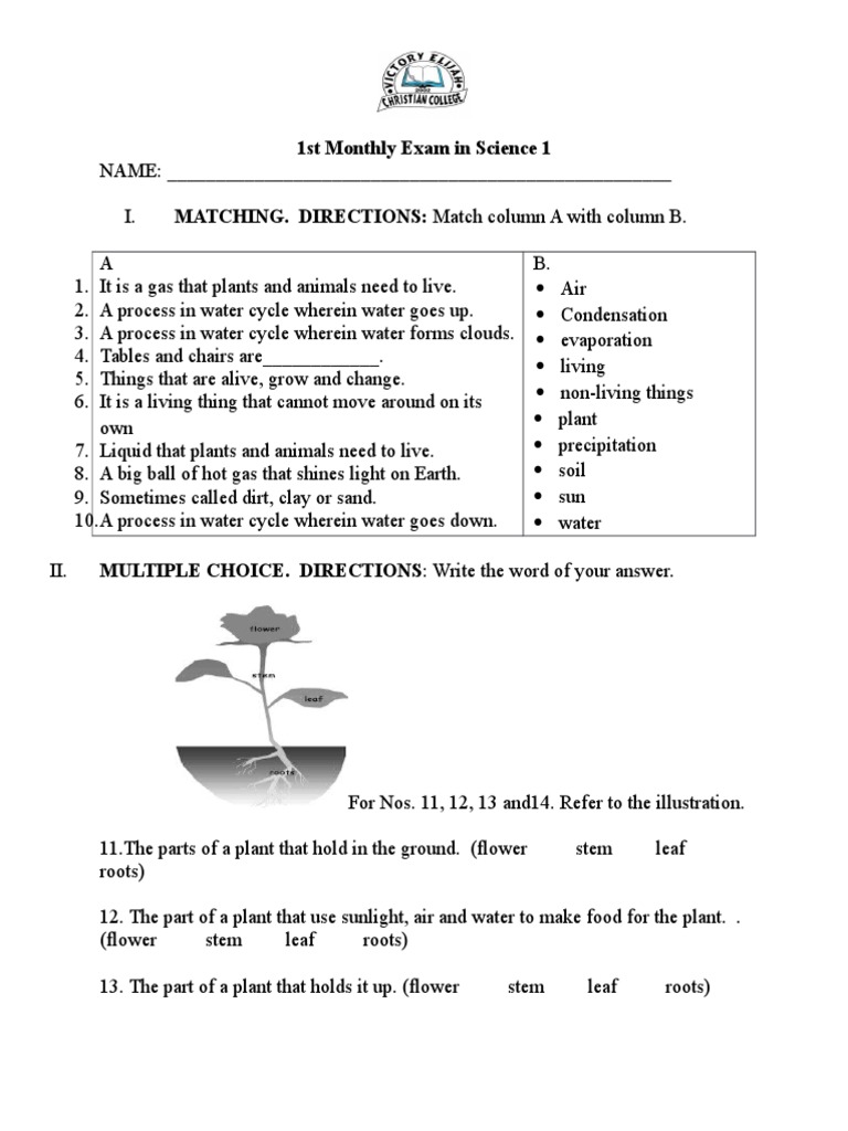 Grade One (1) Basic Science Test | Frog | Butterfly | Free 30-day Trial ...