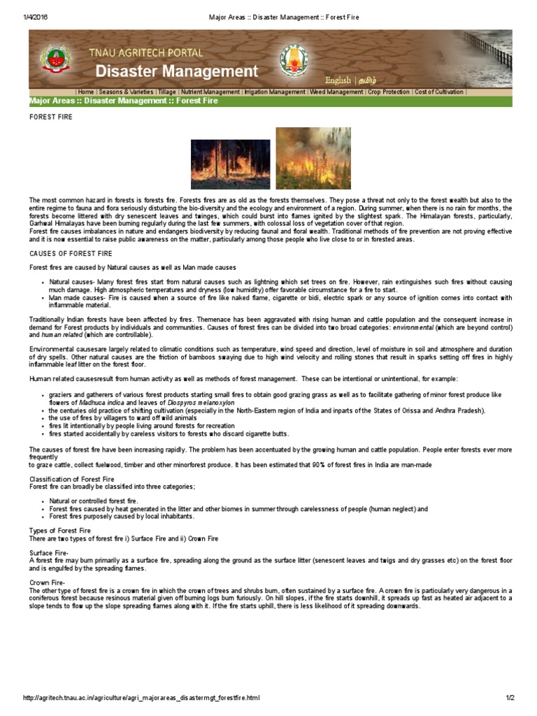 Disaster Management - Forest Fire | PDF | Wildfire | Fires