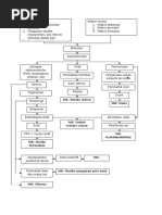 Down Score Pada Neonatus | PDF