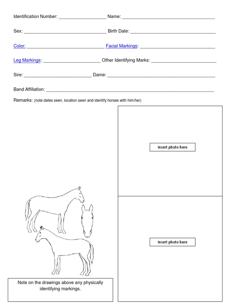 Horse Identification | PDF