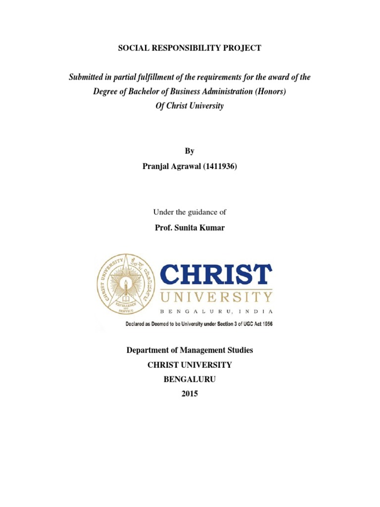 Social Responsibility Project Overview | PDF | Corporate Social ...