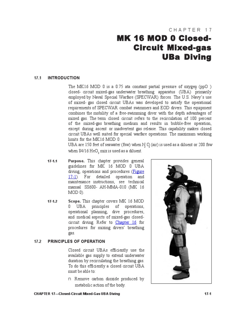 Chapter 17 MK 16 MOD 0 Closed Circuit Mixed-Gas UBA Diving | PDF ...