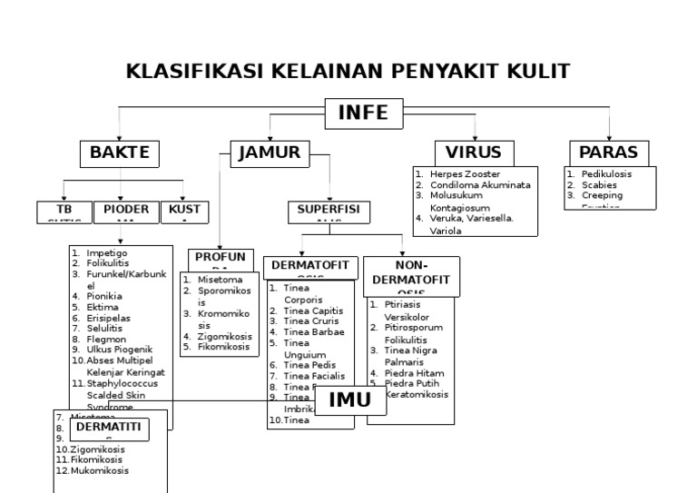 Klasifikasi Kelainan Penyakit Kulit | PDF