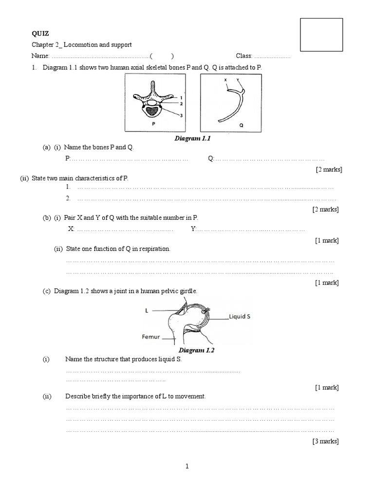 Form 5 Biology Chapter 2 Quiz | PDF