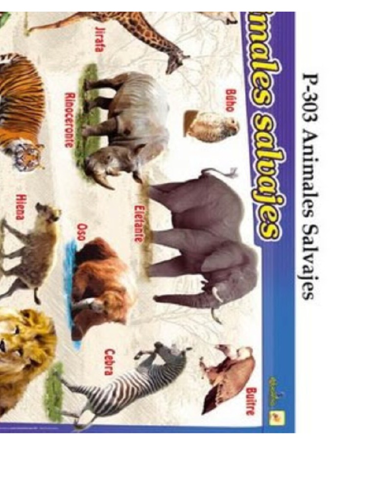 Animales Salvajes, Imagenes | PDF